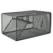 Ozark Trail Collapsible Floating Wire Fishing Basket - Walmart.com
