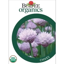Burpee Organic Sweet Basil Herb Seed, 1-Pack - Walmart.com