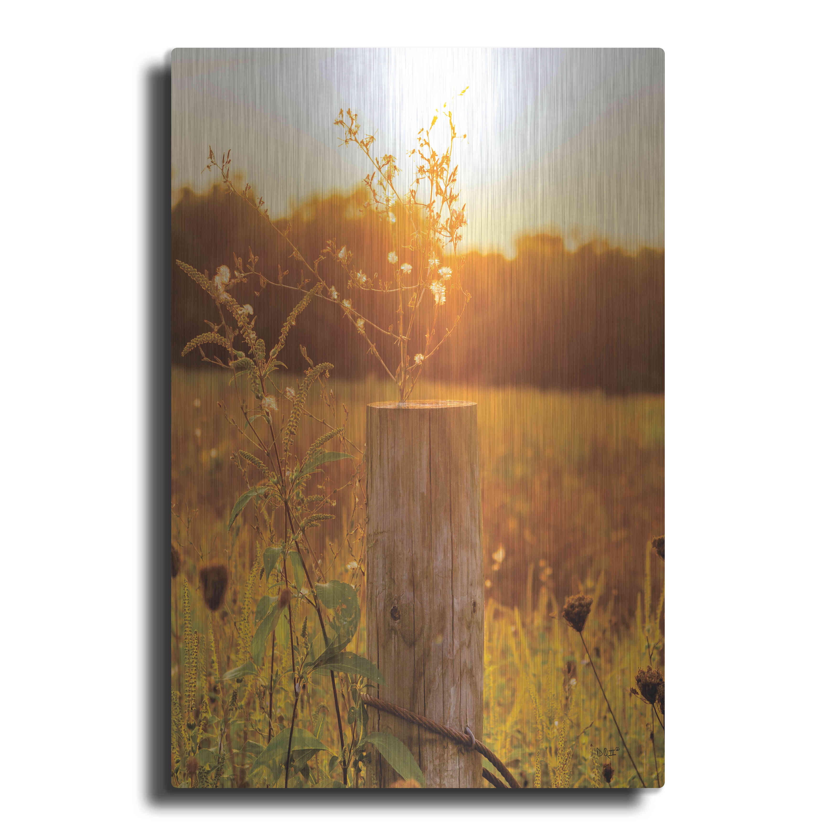 Luxe Metal Art 'Post' by Donnie Quillen Metal Wall Art, 12"x16 ...