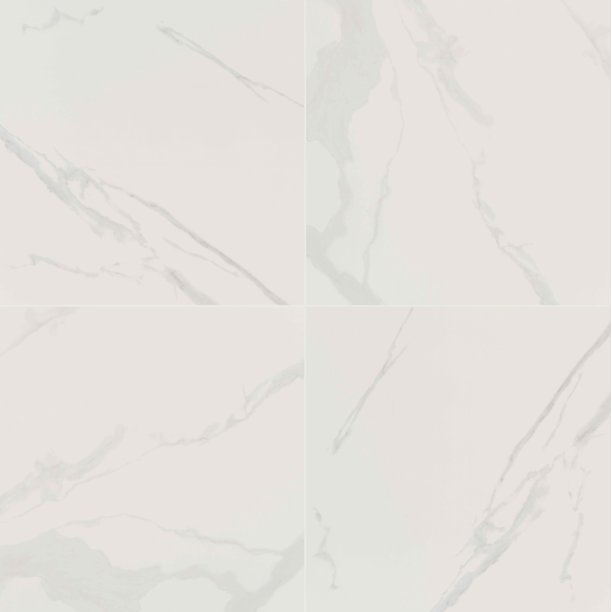 MSI Eden Statuary 12 In. X 24 In. Polished Porcelain Floor And Wall ...