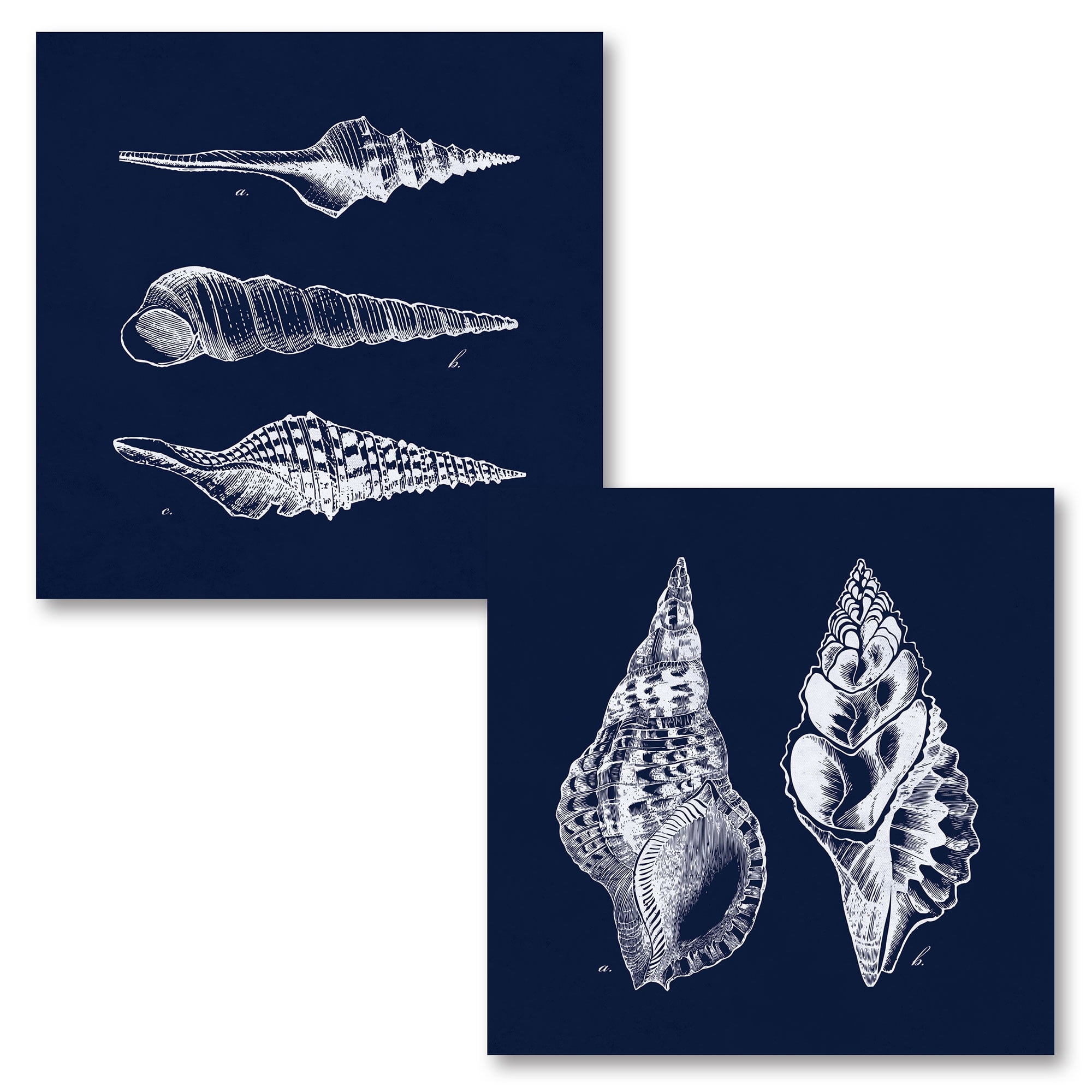 Blue and White Sea Shells Silhouette Set; Coastal Decor; 2-12x12 ...