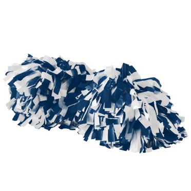 Metallic Cheer Pom Poms Cheerleading Cheerleader Gear 2 pieces one pair ...