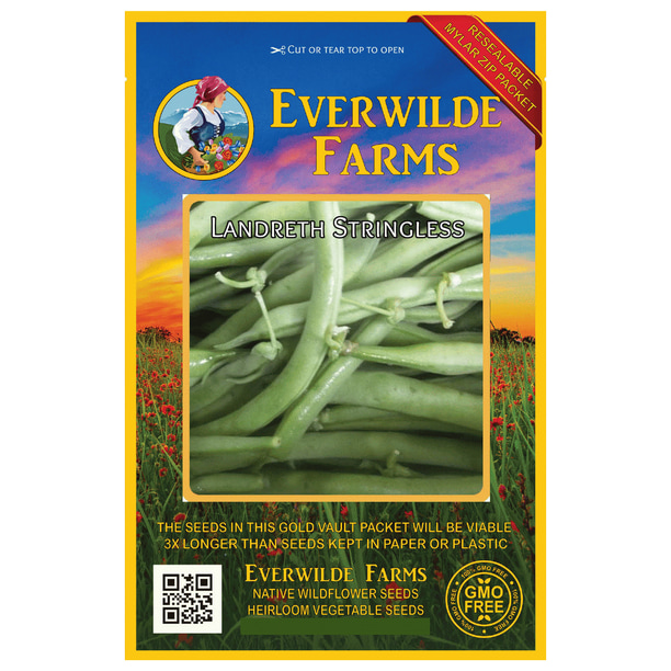 Everwilde Farms - 120 Landreth Stringless Green Bush Bean Seeds - Gold ...
