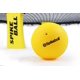 Spikeball Standard Replacement Balls (2 Pieces) - Walmart.com