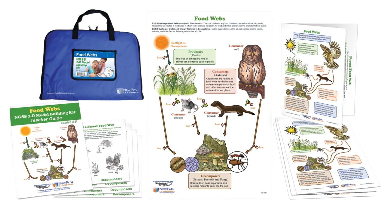 NewPath Learning Food Webs NGSS 2D Model Building Kit - Walmart.com