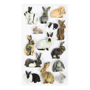 12 Pack: Woodland Animals Sticker Book by Recollections™ - Walmart.com