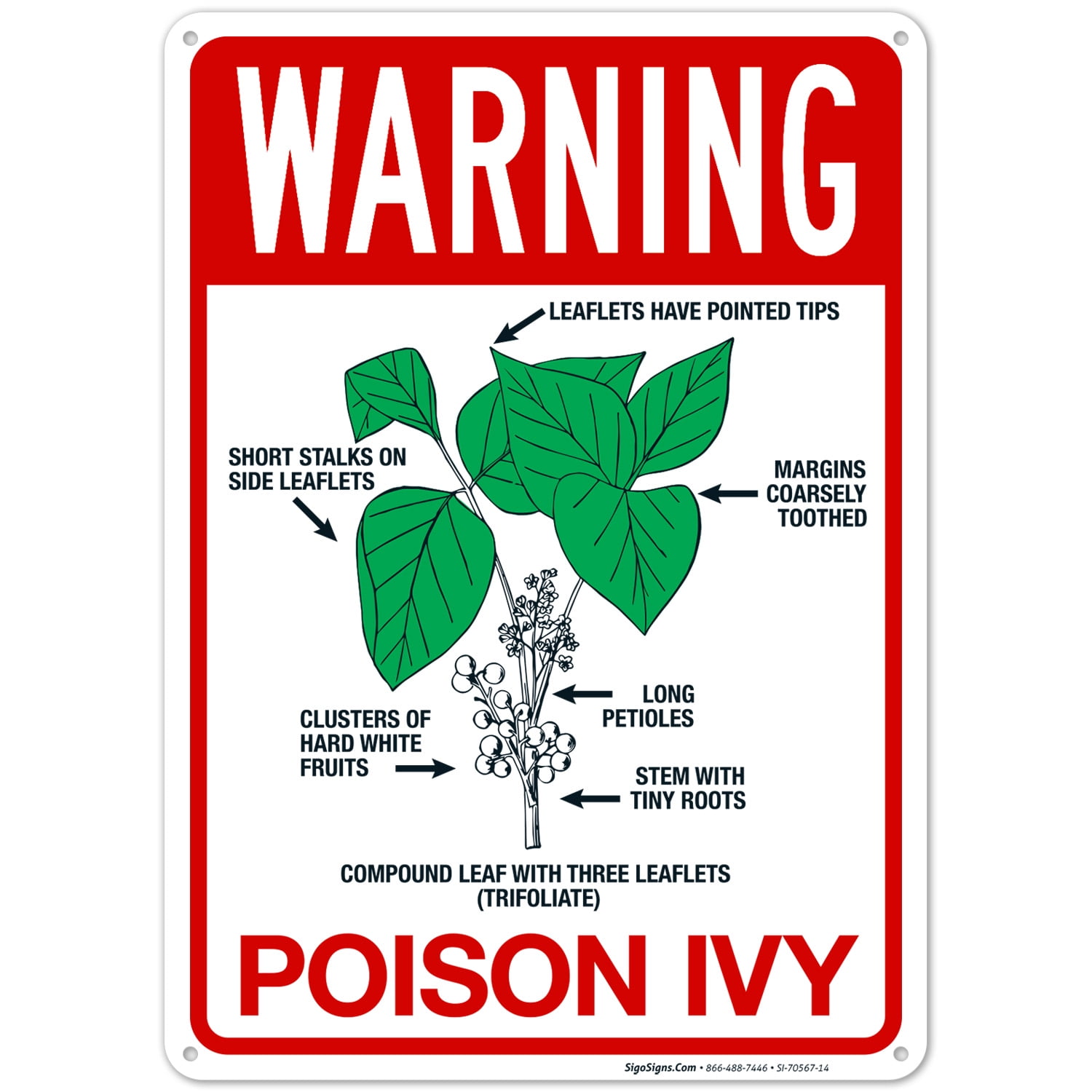 Warning Poison Ivy Sign, - Walmart.com