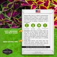 5 Packs Rainbow Mix Coleus Seed - Heirloom Perennial Shade Plants ...