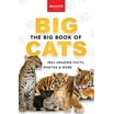 Big Cats: Discover Series Picture Book for Children (Paperback ...