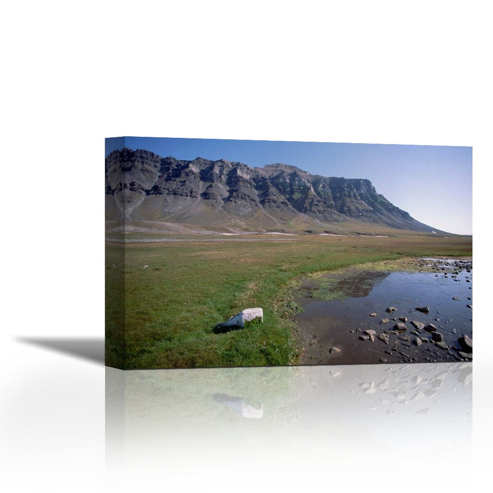 Svalbard Reindeer in arctic meadow, Bellsund, Svalbard, Norwegian ...