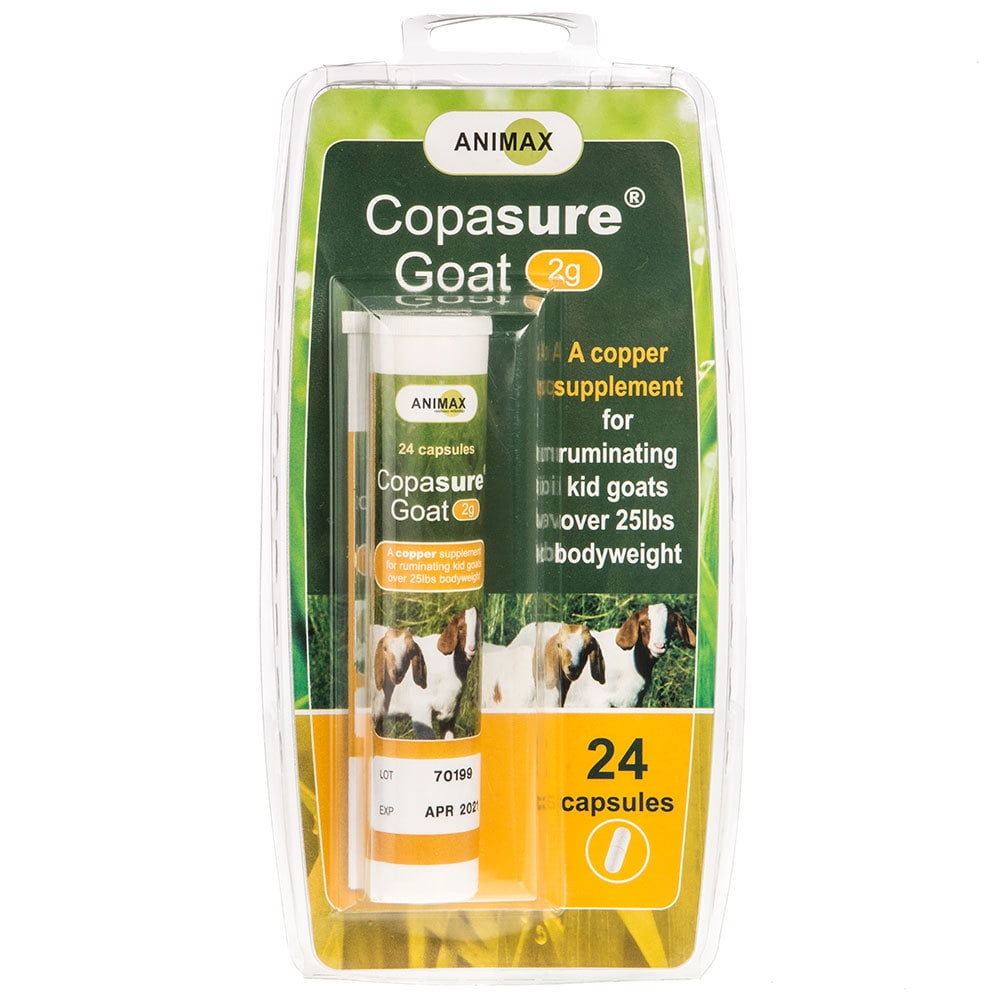 Animax Copasure Goat Bolus 24GM 24Count - Walmart.com