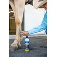 Vetericyn Liniment 16 oz, Blue for Sore Muscles and Joints Relief in ...