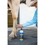 Vetericyn Liniment 16 oz, Blue for Sore Muscles and Joints Relief in ...