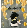 DolliBu Emperor Penguin Graduation Plush Toy - Super Soft Penguin ...