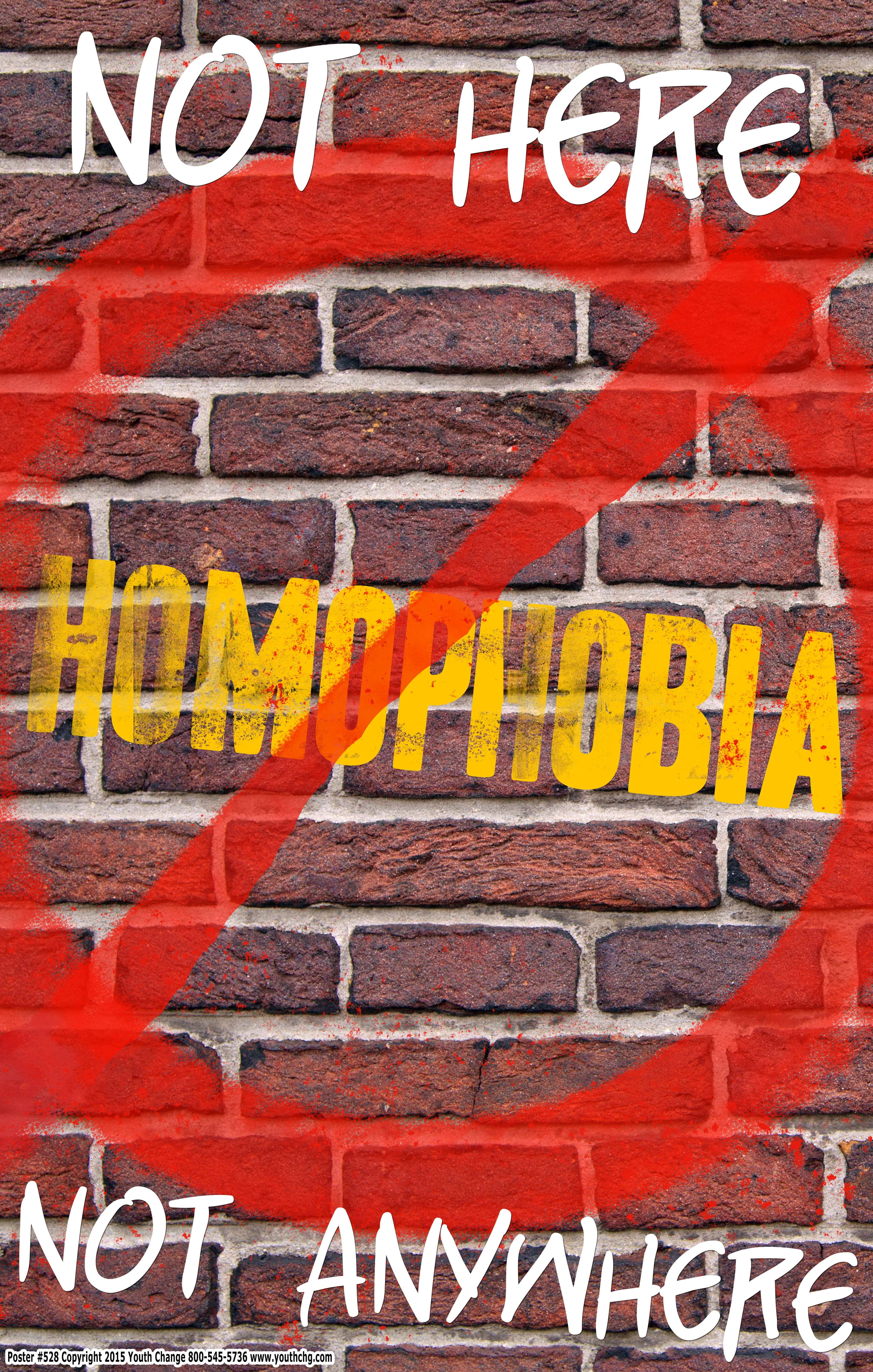 Youth Change Poster #528 Stop Homophobia Poster Builds Safety ...