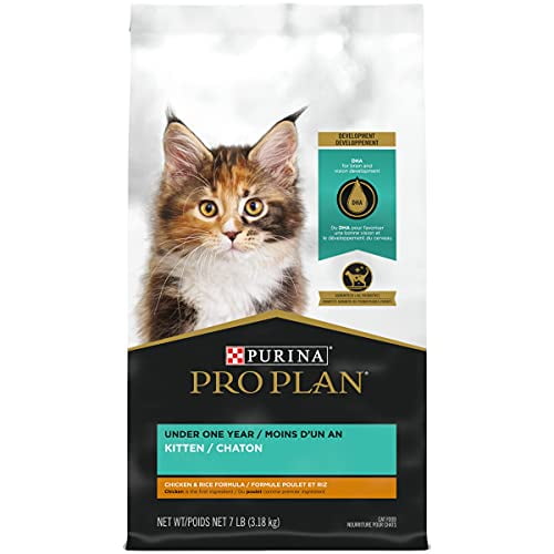 Kmr Formula Kittens