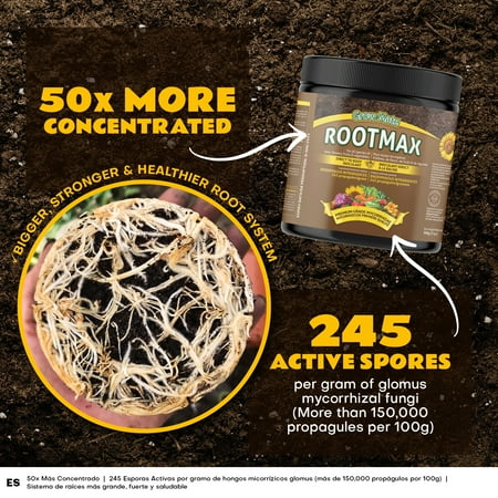 RootMax - Mycorrhizal Fungi 200 Gms - Walmart.ca
