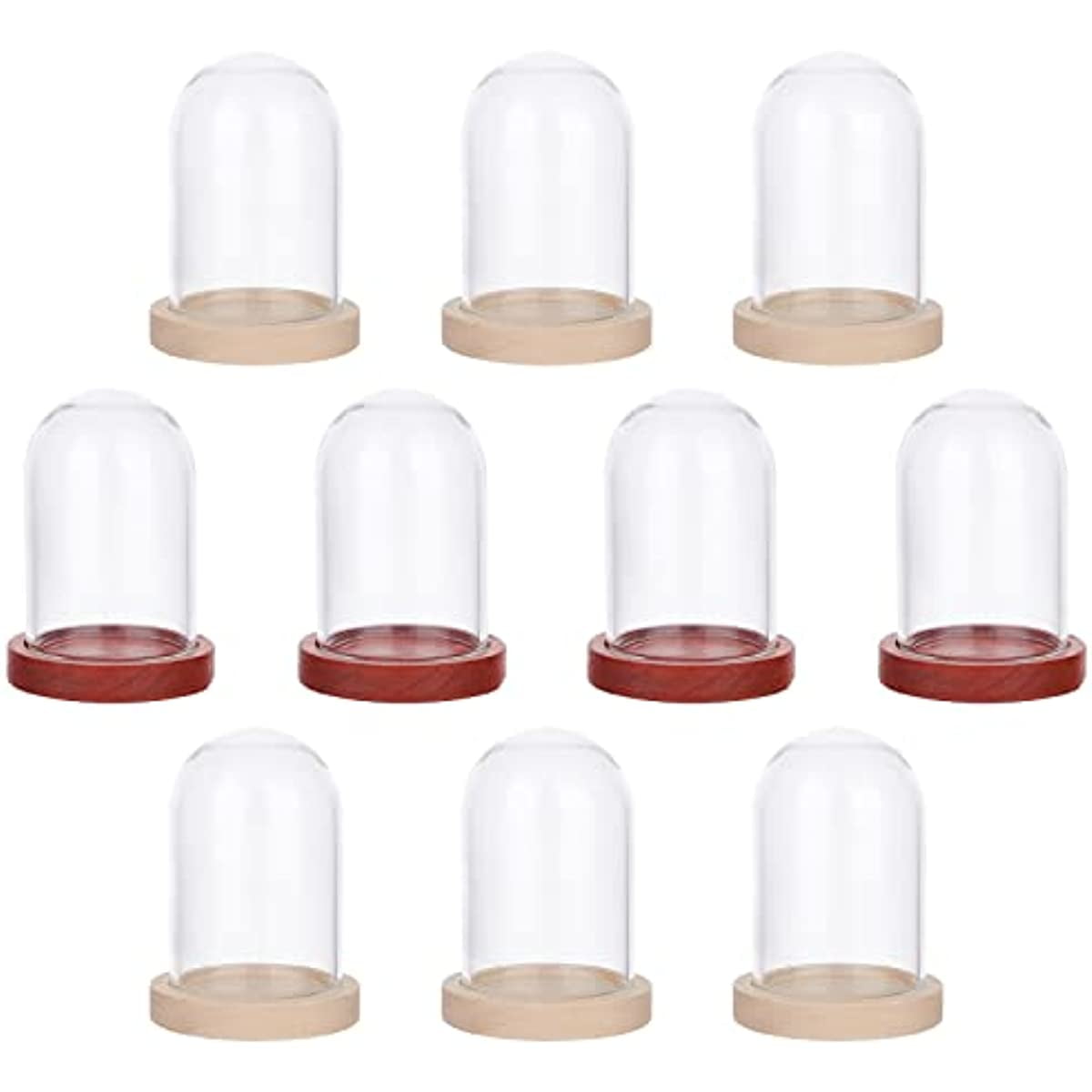 10 Sets Mini Eternal Flower Glass Dome Cloche Clear Glass Display Case ...