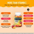 Airborne Immune Essentials Vitamin C Gummies, Multivitamin Supplement ...