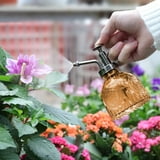 Glass Plant 200ML, Vintage Spray Bottle with Top Pump, Fine Mist Garden ...