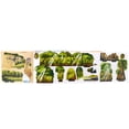 Pop-Up & Build: National Parks (Hardcover) - Walmart.com