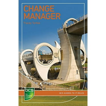 Practical Change Management for It Projects (Paperback) - Walmart.com