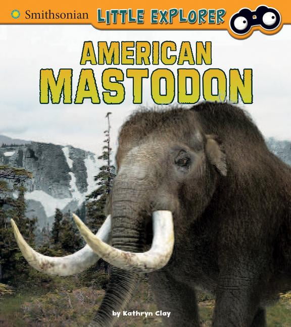 Little Paleontologist: American Mastodon (Paperback) - Walmart.com