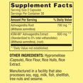 Spring Valley Extra Strength Ashwagandha Dietary Supplement, 1300 mg ...