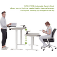 MXTARK Height Adjustable Electric Standing Desk with One Drawer, Table ...