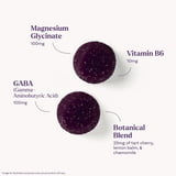 Natrol Sleep & Restore Gummies, GABA, Magnesium Glycinate, Botanical Blend, Melatonin-Free ...