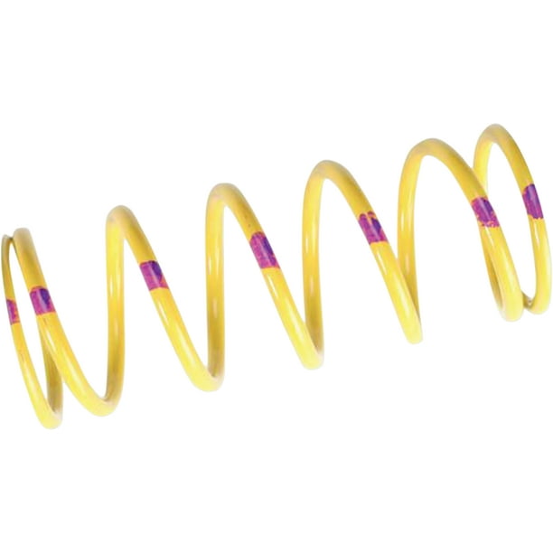 Team Ski-Doo Primary Clutch Springs - Steel Yellow/Purple 210141-008 ...
