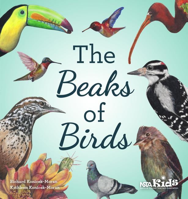 The Beaks of Birds (Paperback) - Walmart.com - Walmart.com