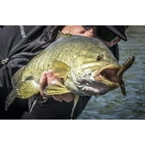 Berkley PowerBait Power Tube Fishing Bait, White, 3 1/2 | 9cm - Walmart.com
