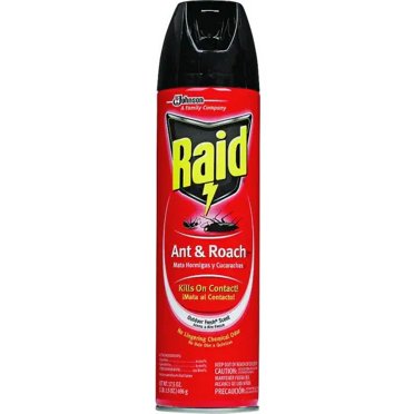 Raid Ant & Roach Killer 26, Outdoor Fresh Scent, 17.5 oz (Pack of 18 ...