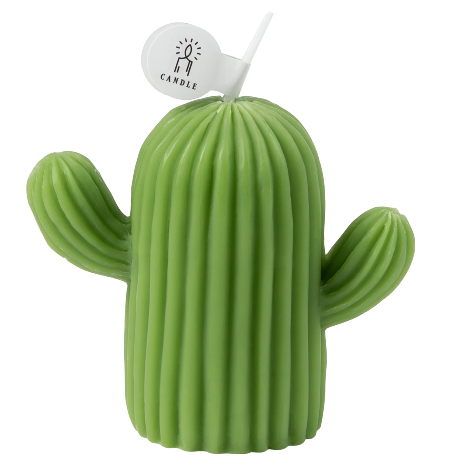Click here for Rejuuv Cactus Shaped Scented Candle With Sage And... prices