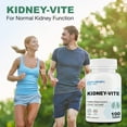 Puregen Labs Kidney-Vite, Kidney Support Supplement, 100 Tablets ...