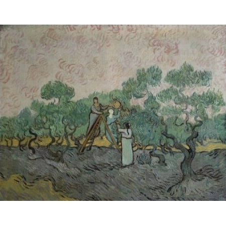 The Olive Trees , Vincent van Gogh (1853-1890/Dutch) , Annenberg ...