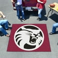 Cal State - Chico Tailgater Rug 5'x6' - Walmart.com