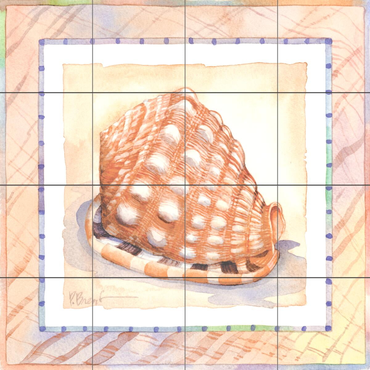 Tile Mural Bathroom Backsplash - Bordered Shell Helmet - by Paul Brent ...