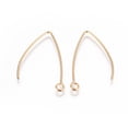 304 Stainless Steel Earring Hooks with Horizontal Loop Golden 31x20x0 ...