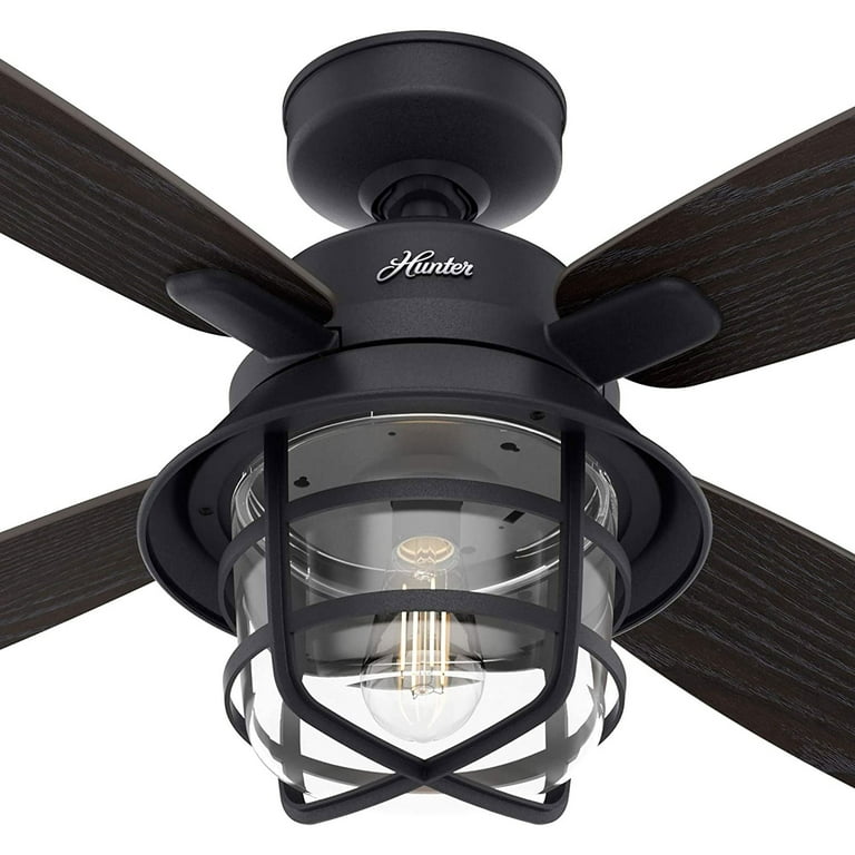 Light Kit For Hunter Ceiling Fan | Shelly Lighting