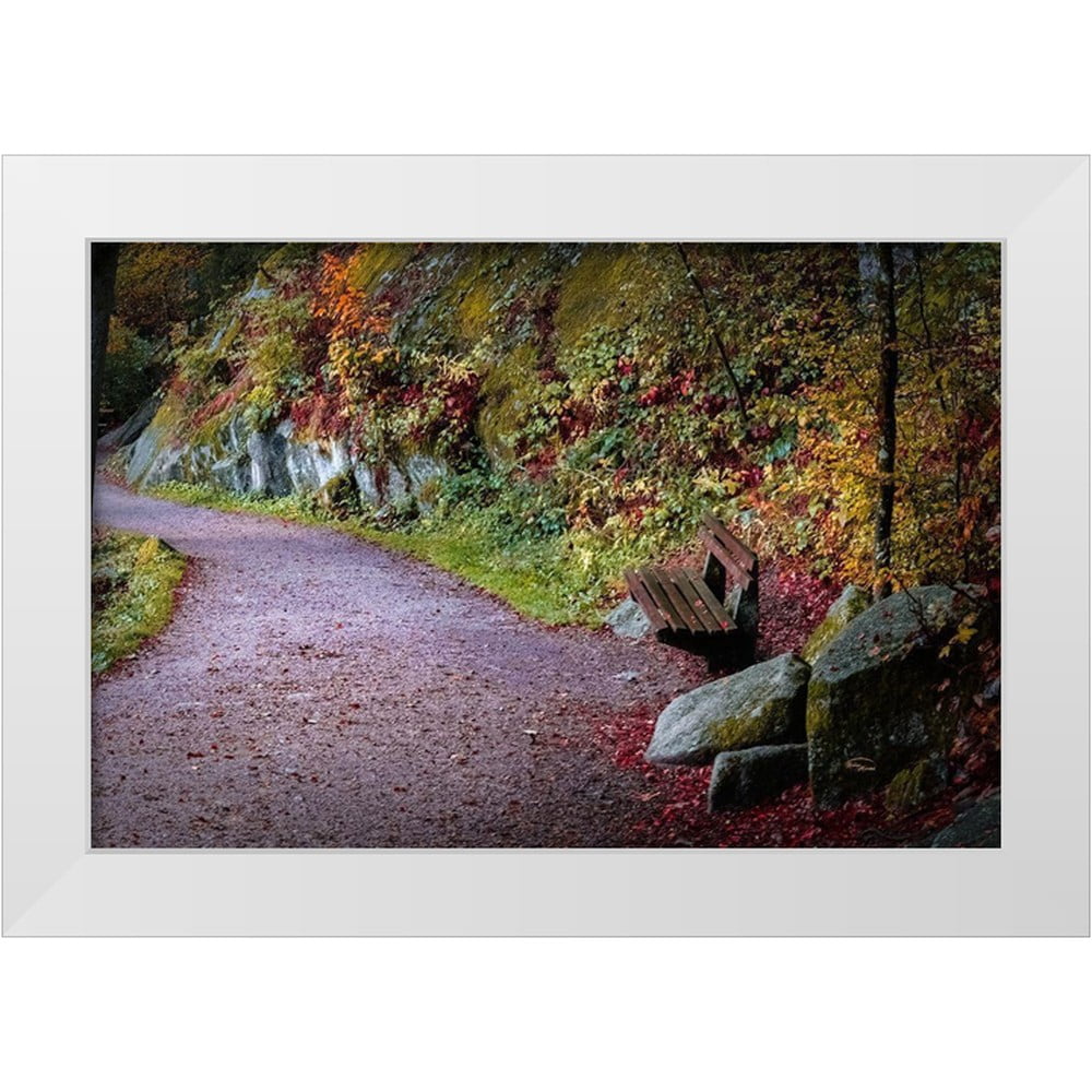 Murdock, Ramona 14x11 White Modern Wood Framed Museum Art Print Titled ...