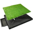 Downtown Pet Supply Indoor Dog Potty Training Grass Pad, Artificial ...