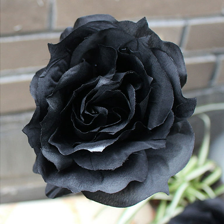 Single Black Rose Flower