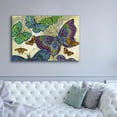 Epic Graffiti 'Flutter Flock' by David Galchutt, Canvas Wall Art, 60 ...