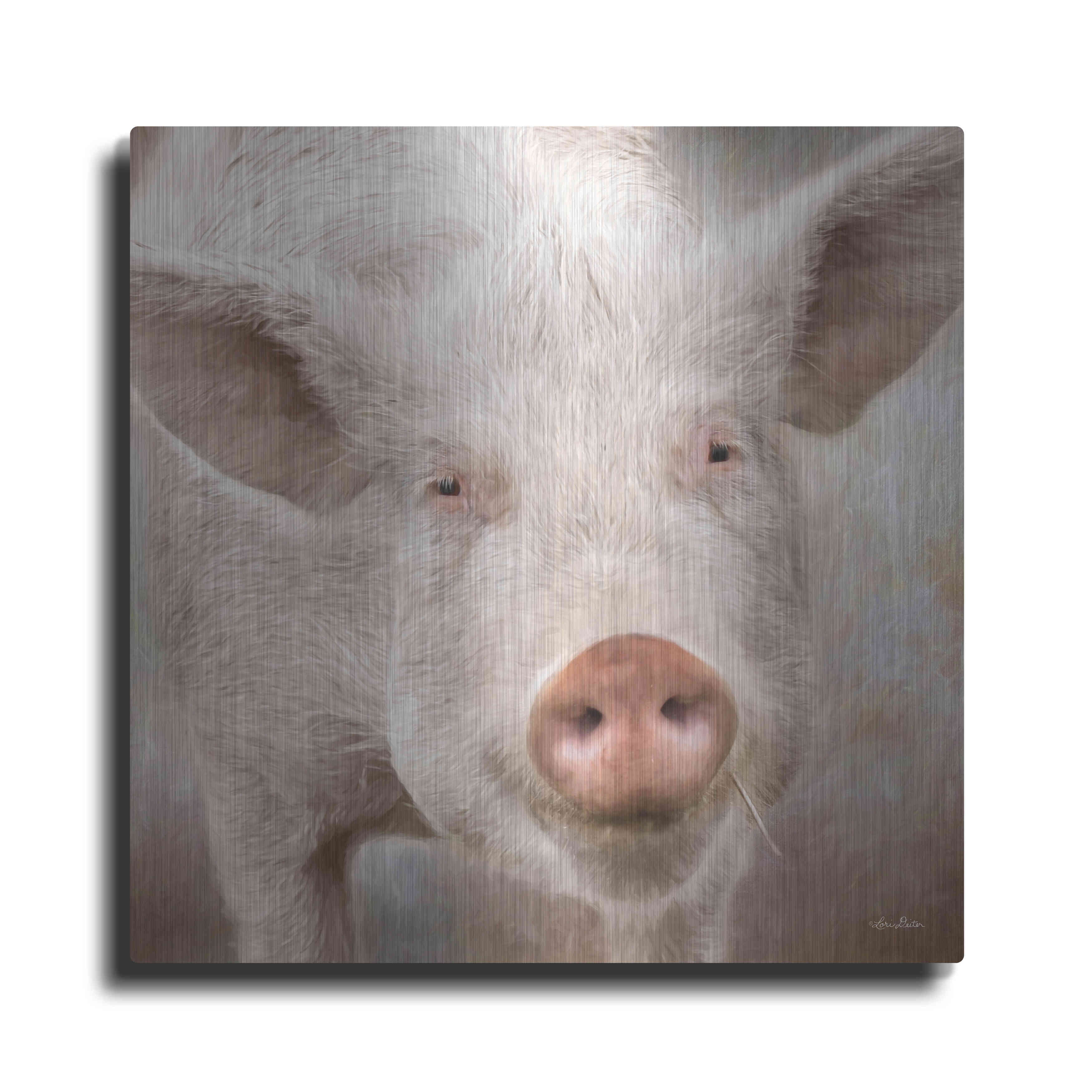 Luxe Metal Art 'Pig Face' by Lori Deiter, Metal Wall Art, 24"x24 ...