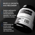 Nutrex Research Micronized Creatine Monohydrate Powder, 1KG, 200 ...