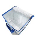 Ana Extra Large Cooling Cooler Cool Bag Box Picnic Camping Food Ice ...
