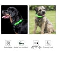 MASBRILL LED Dog Collar, Blinking Night Walking Light, Waterproof & USB ...