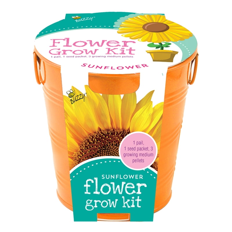 Buzzy® 95204 Kids Flower Grow Painted Pail Kit, Sunflower - Walmart.com ...